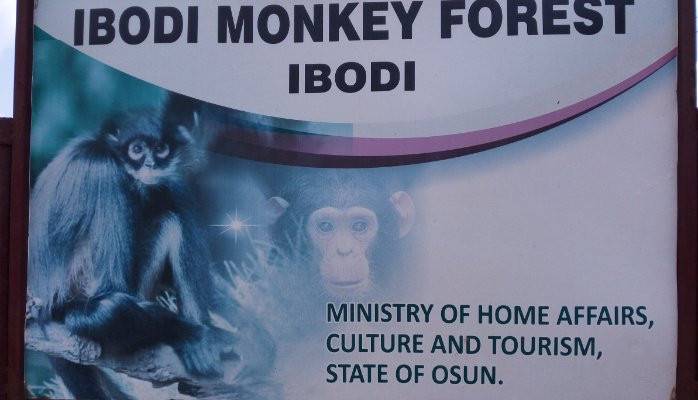 Yankari National Park