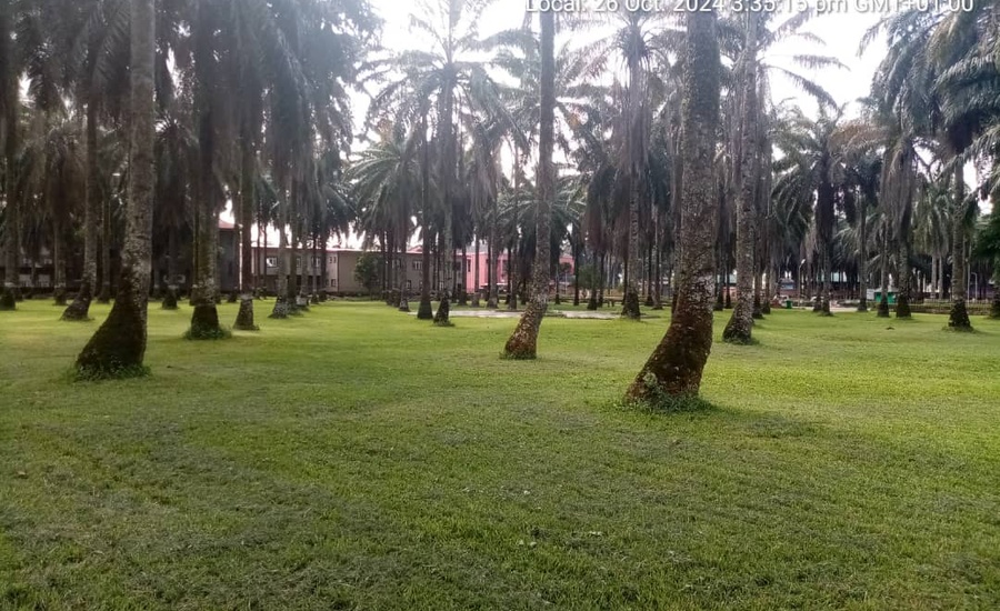 Precious Palm Royal Hotel | Hotel in Benin | Hotels.ng