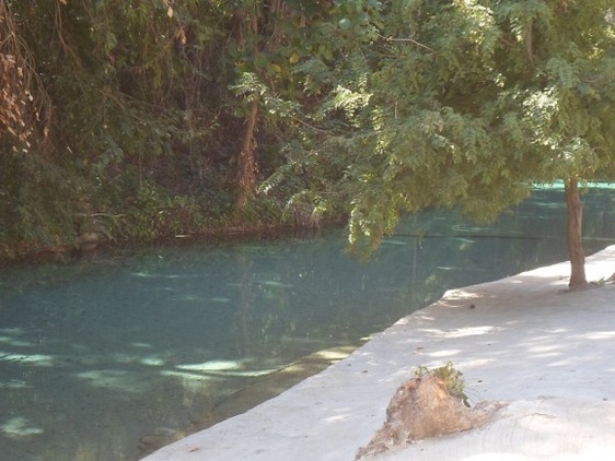 Yankari Game Reserve And Resort | Hotel in Bauchi | Hotels.ng