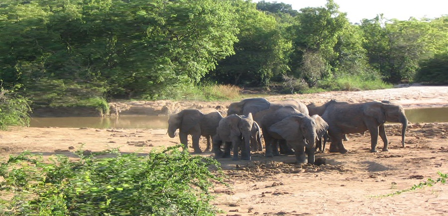 Yankari Game Reserve And Resort | Hotel in Bauchi | Hotels.ng