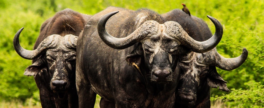 Bubezi Guests House | Hotel in Marite | Timbu.co.za