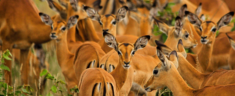 Bubezi Guests House | Hotel in Marite | Timbu.co.za