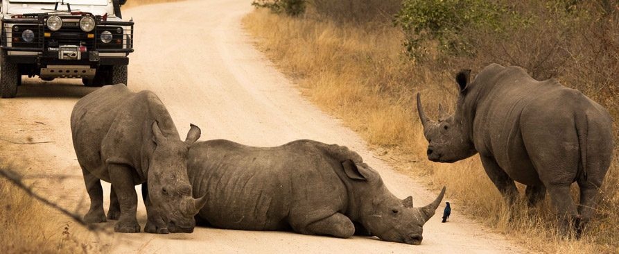 Bubezi Guests House | Hotel in Marite | Timbu.co.za