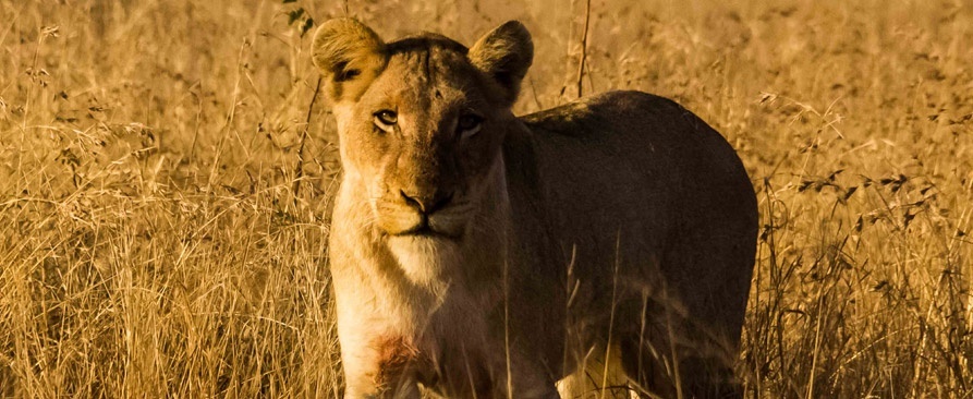 Bubezi Guests House | Hotel in Marite | Timbu.co.za