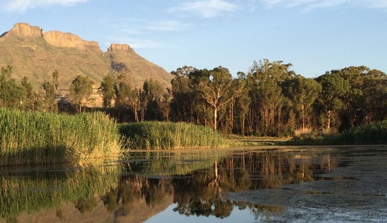 Moolmanshoek Private Game Reserve | Hotel in Butha-buthe | Timbu.co.za
