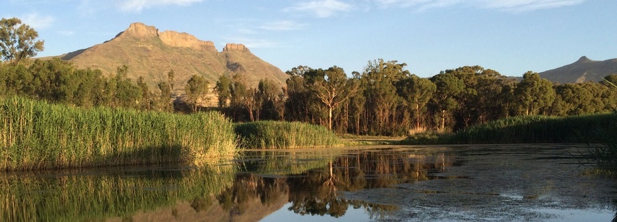 Moolmanshoek Private Game Reserve | Hotel in Butha-buthe | Timbu.co.za