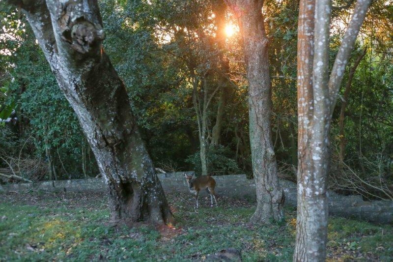 Pumula Retreat | Hotel in Ugu District Municipality | Timbu.co.za