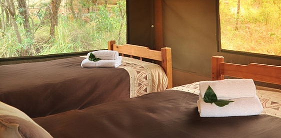 Shikwaru Lodge | Hotel in Mokopane | Timbu.co.za