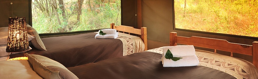Shikwaru Lodge | Hotel in Mokopane | Timbu.co.za